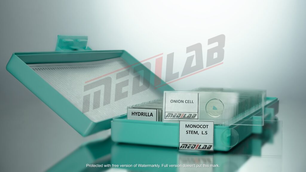 Prepared Microscope Slides / Educational Slides - MEDILAB